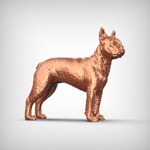 Boston Terrier Dog 3D Print Model Pose 03 3D model 3D printable | CGTrader