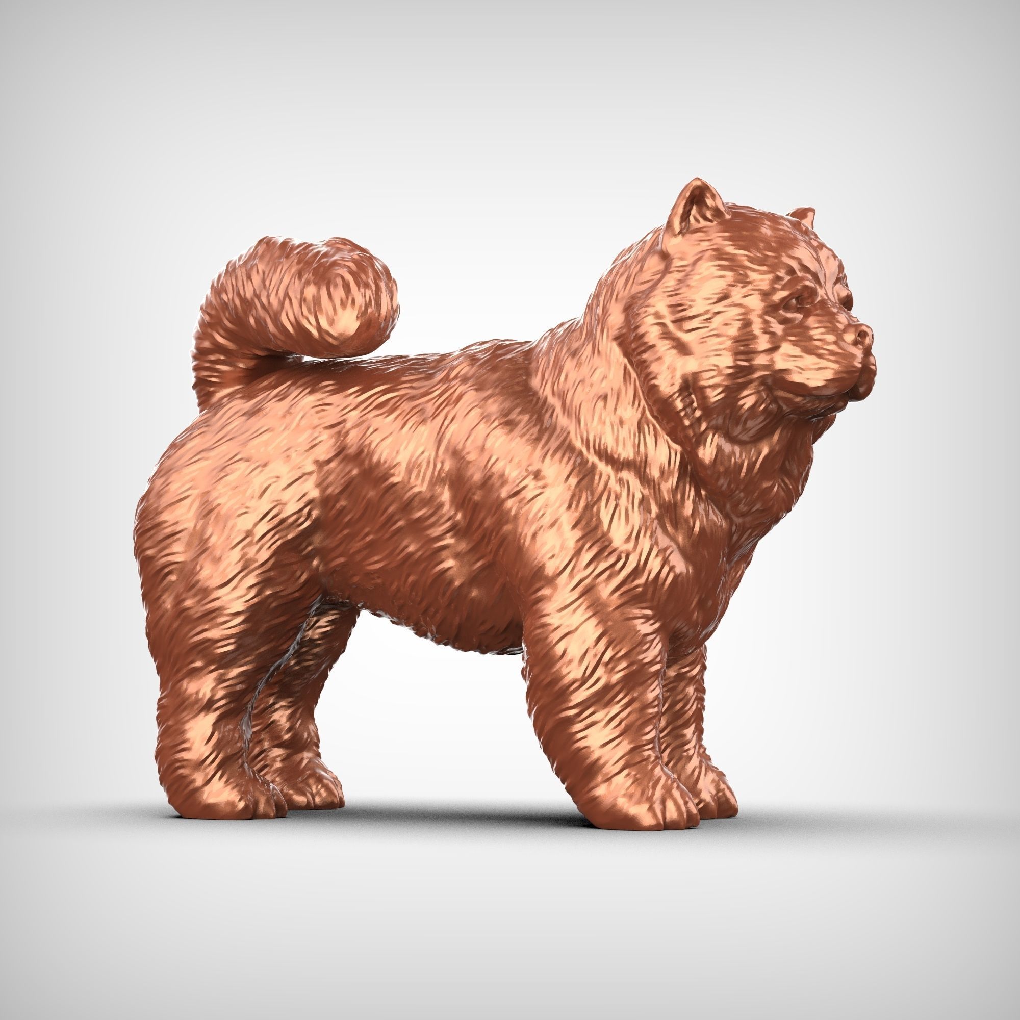 Chow Chow Smooth Dog 3D Print Model Pose 03 3D model 3D printable ...