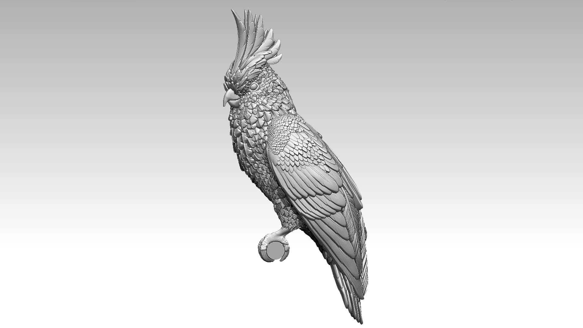 parrot 3D model 3D printable | CGTrader