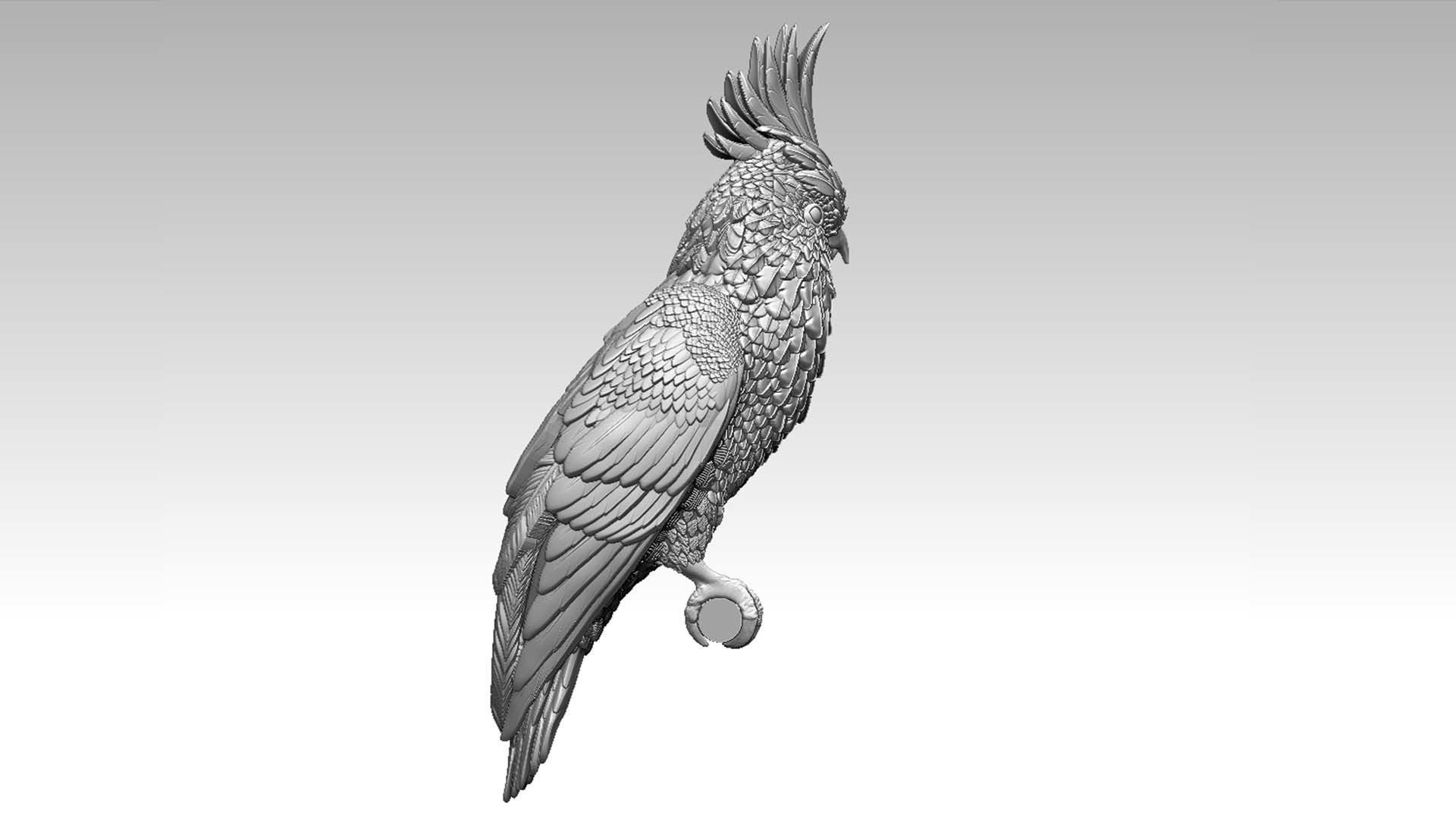 parrot 3D model 3D printable | CGTrader