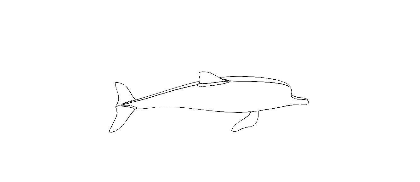 3D Art Surface Pink Dolphin 3D model 3D printable | CGTrader