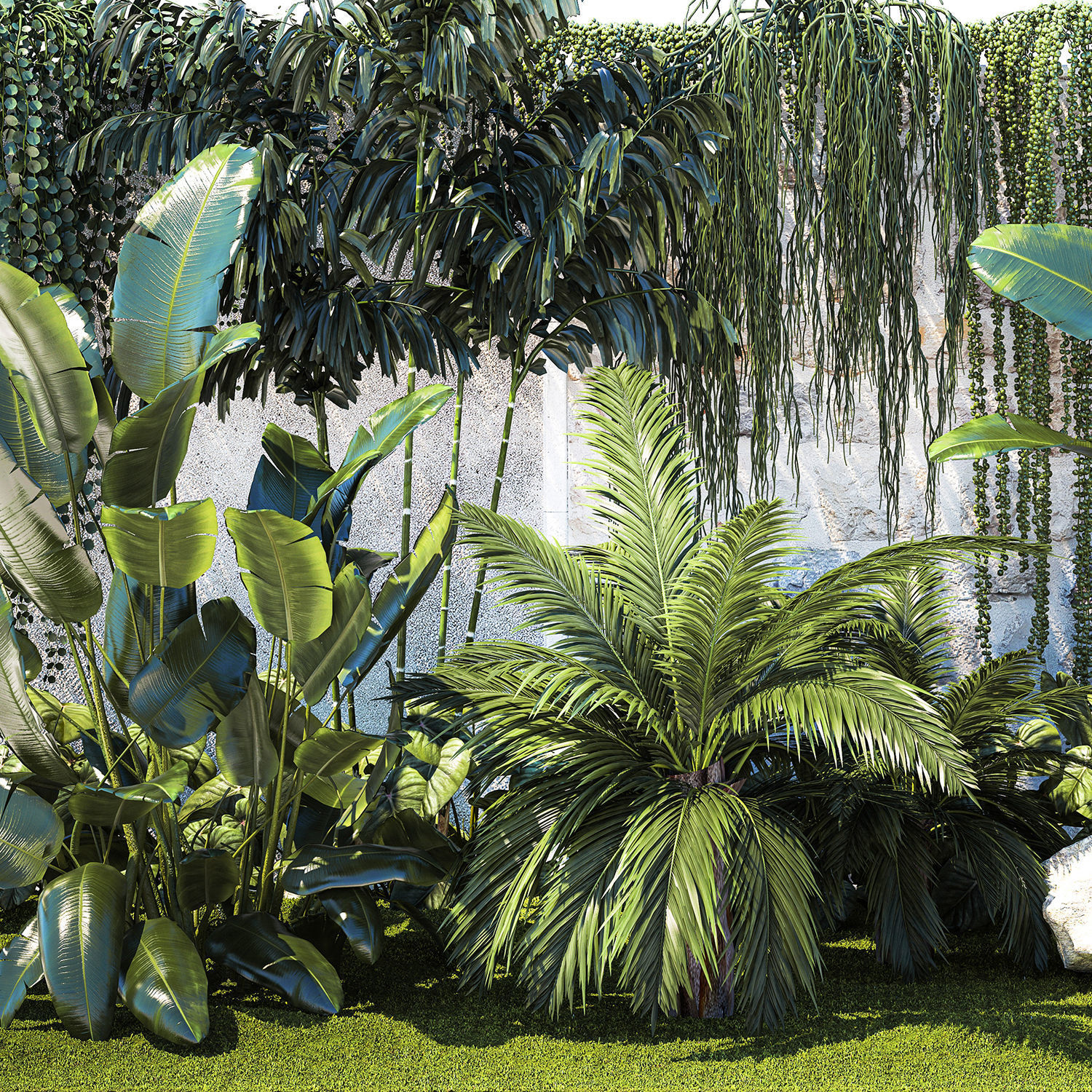 Garden with exotic plants Strelitzia Ravenal palm 3D model | CGTrader