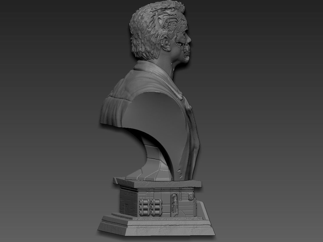 Terminator 2 Bust 3D model 3D printable | CGTrader