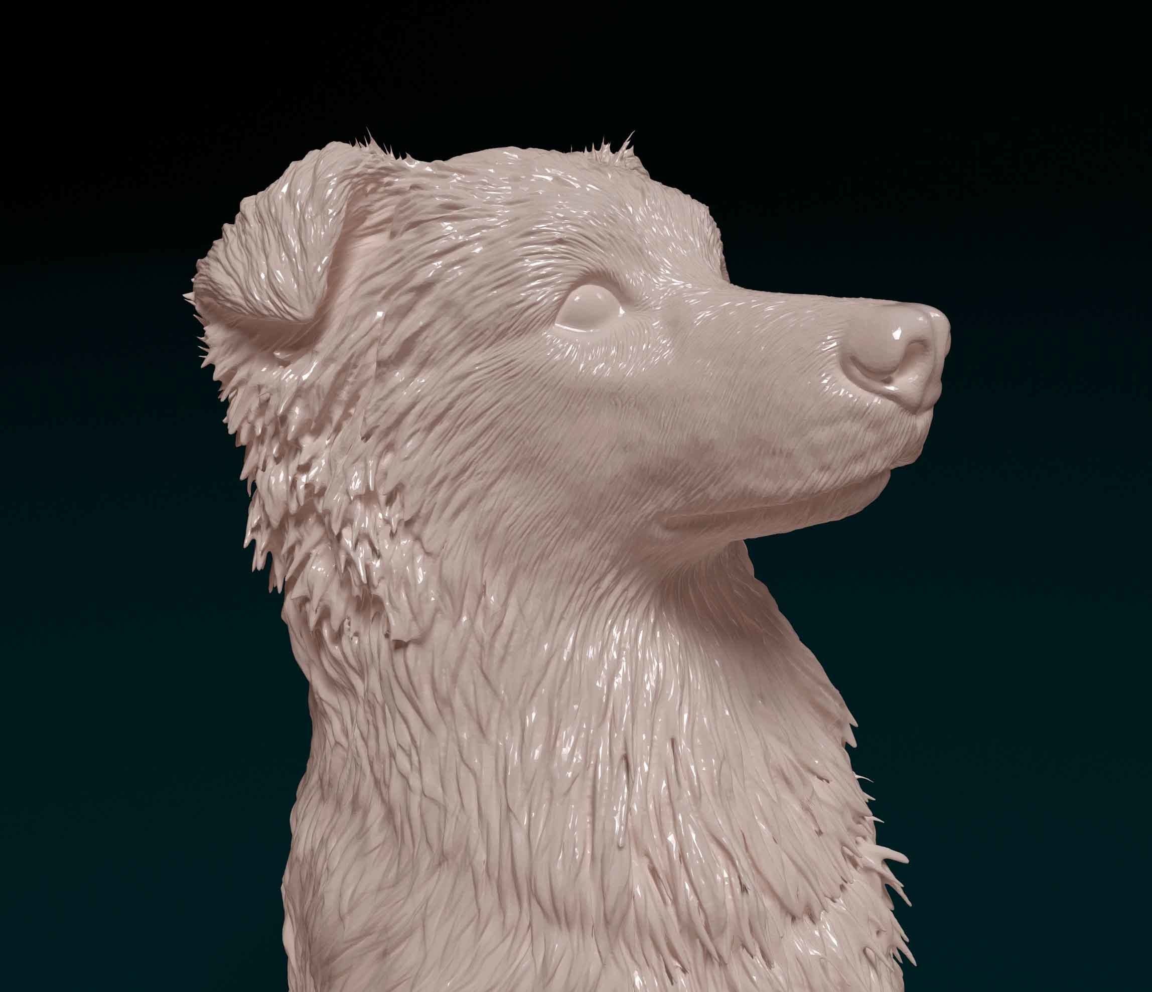 Australian kelpie dog 3D model 3D printable | CGTrader