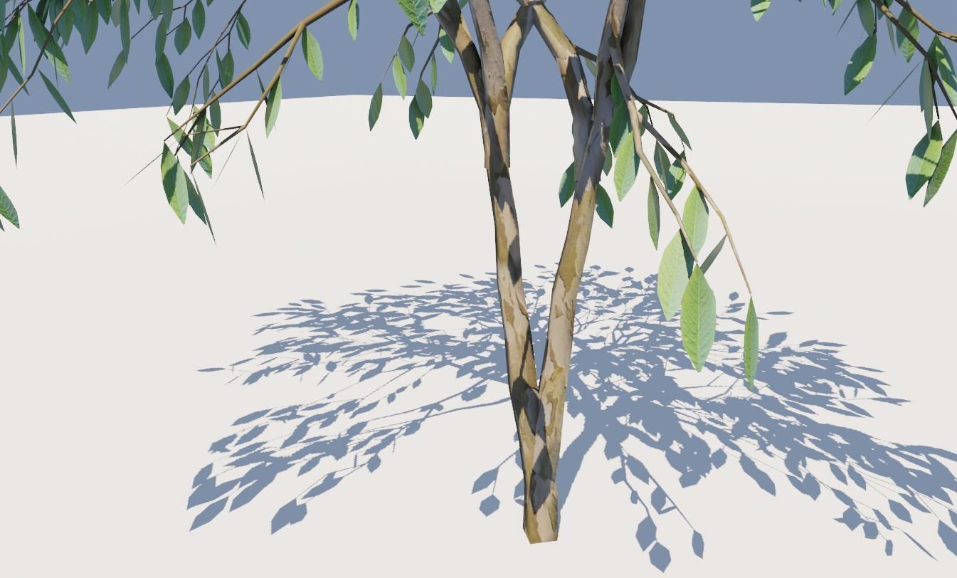 3D model Thin Tree - Arvore fina VR / AR / low-poly | CGTrader
