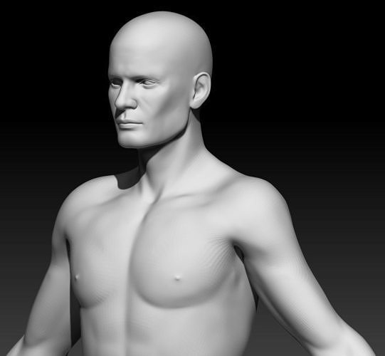 Male Base Mesh 3 3D model | CGTrader