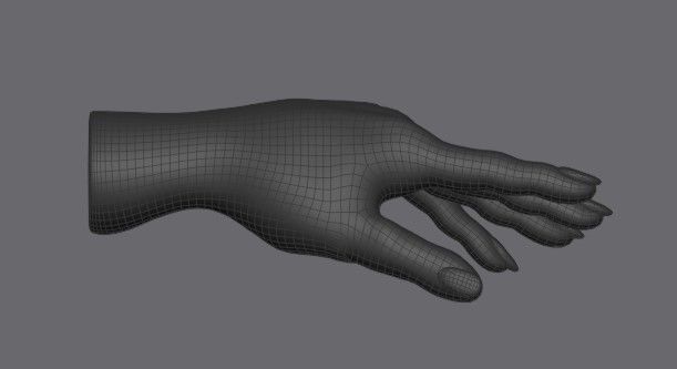 3D model Retopologized female hand for rigging or models VR / AR / low ...