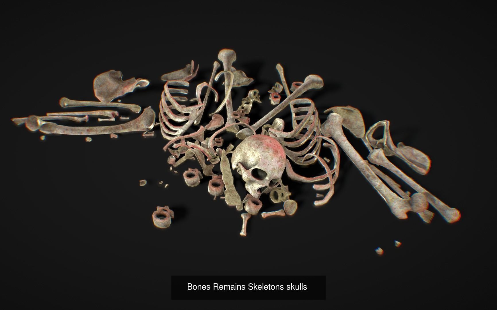 3D Model Collection Skulls Bones Remains Skeletons skulls Low-poly 3D ...