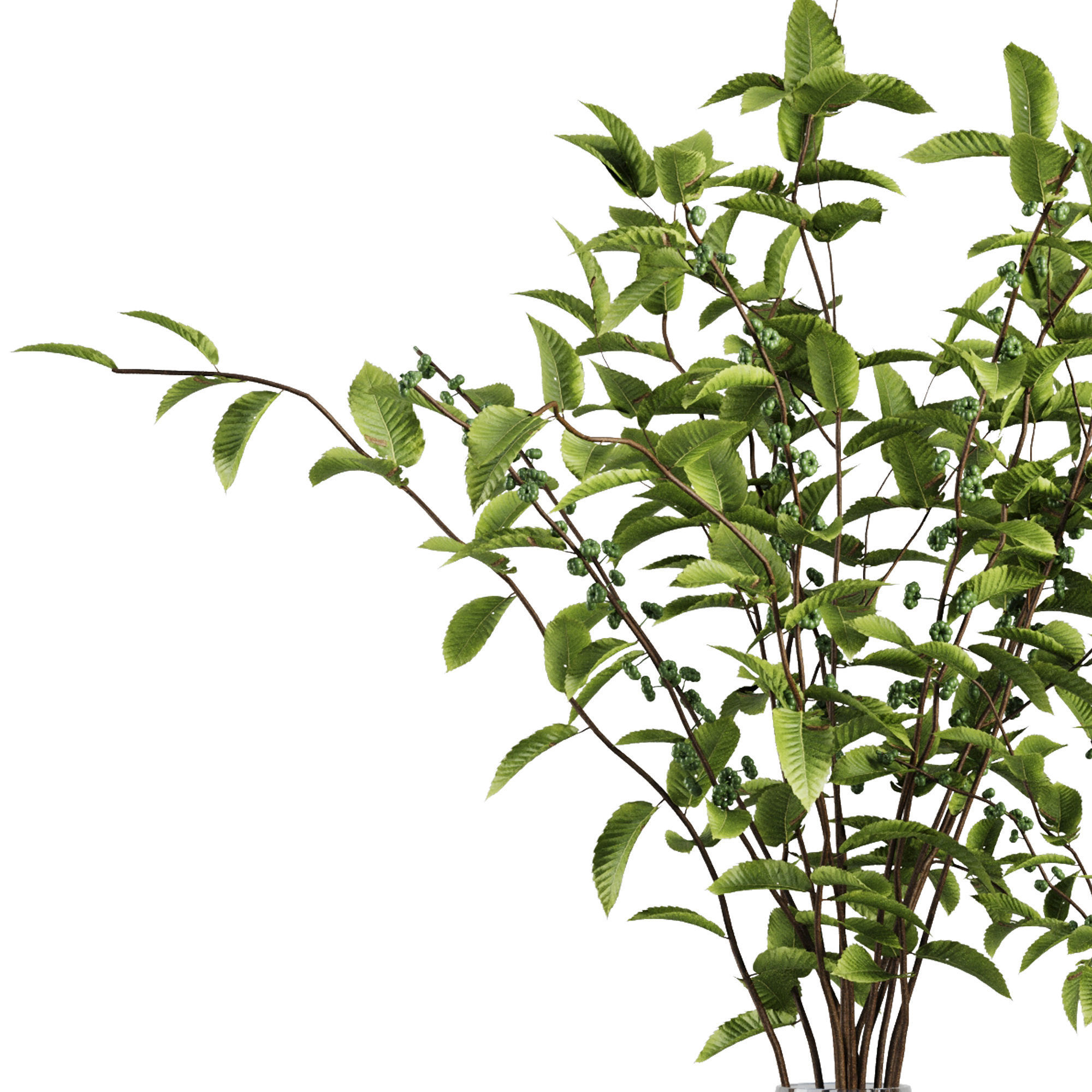 Bouquet Vase Set5 3D model | CGTrader