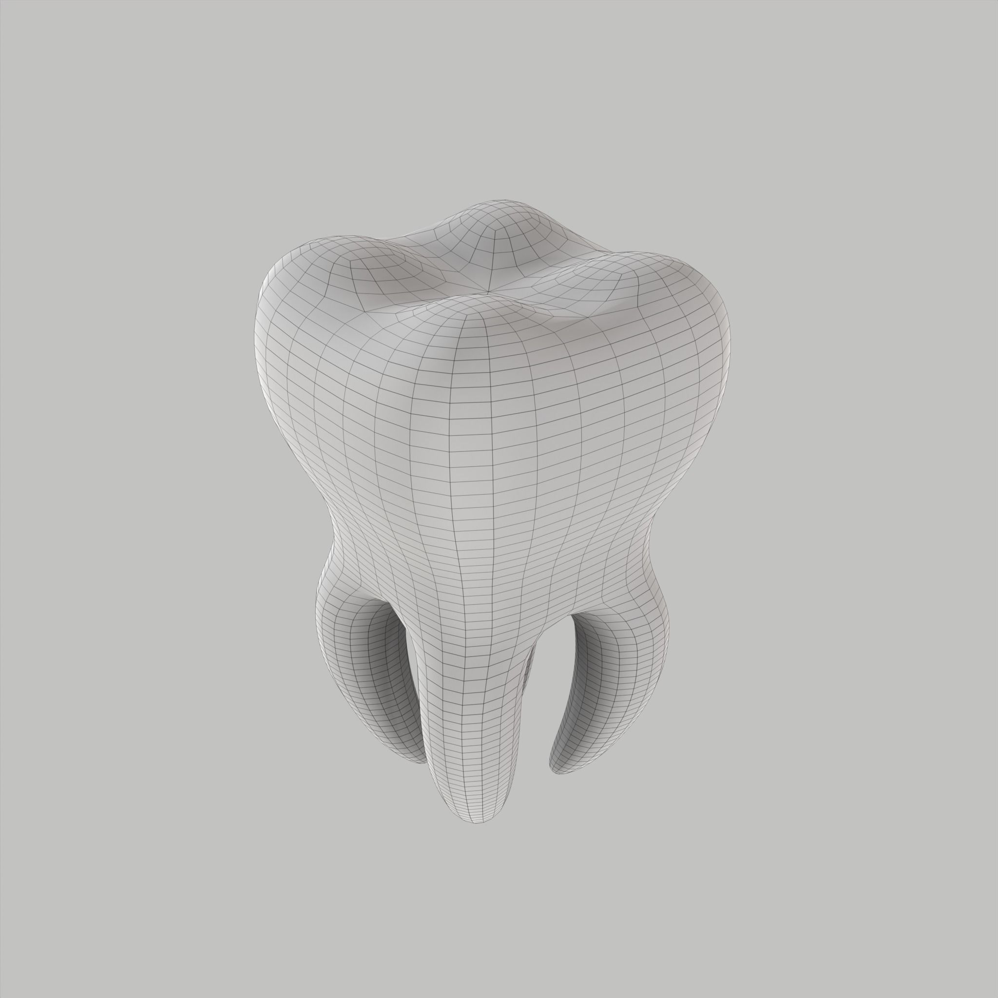 3D model Medical Tooth Anatomy Section VR / AR / low-poly | CGTrader