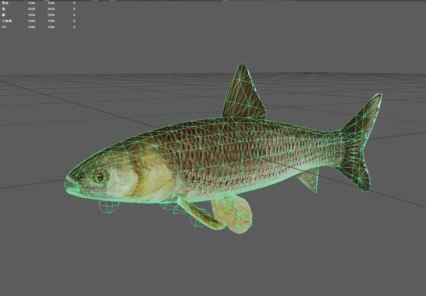 Carp fish 3D model rigged | CGTrader