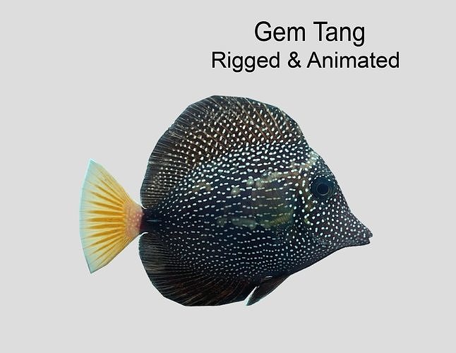 3D model Gem Tang VR / AR / low-poly | CGTrader