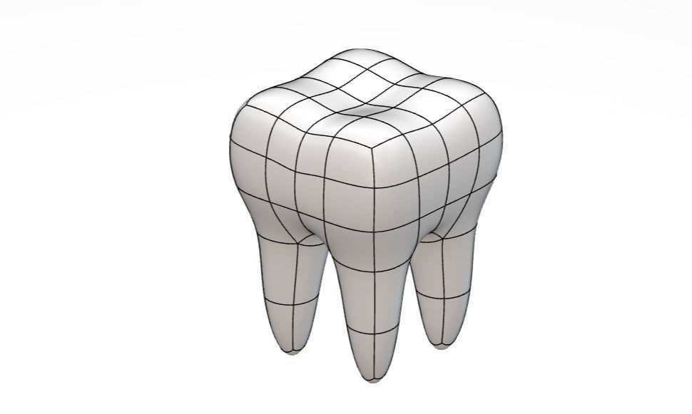Premolar Tooth design 3D model 3D printable | CGTrader