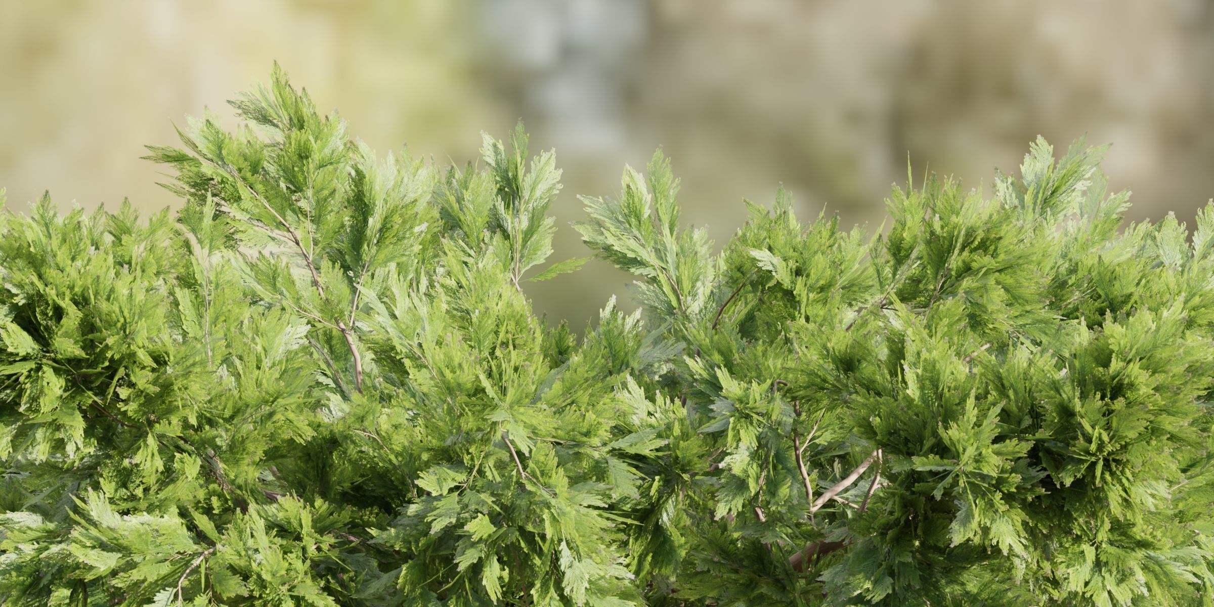 outdoor bushes collection vol 9-Blender 3D model | CGTrader