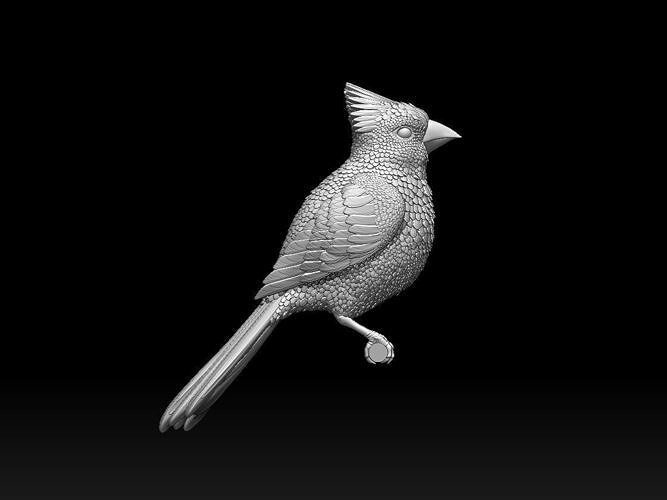 bird red cardinal 3D model 3D printable | CGTrader