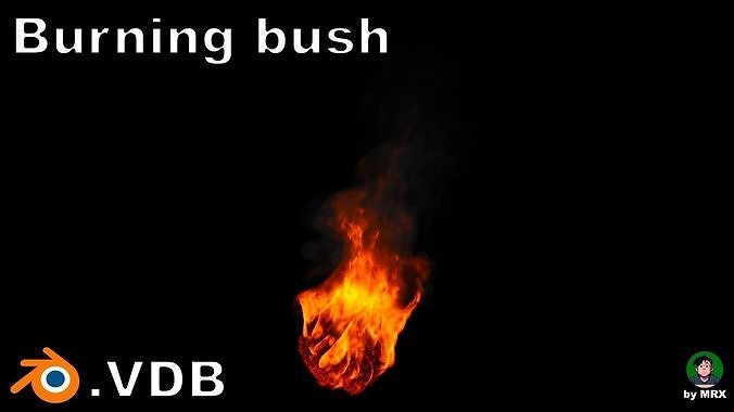 High-Resolution Burning bush - vdb animated 3D model animated | CGTrader