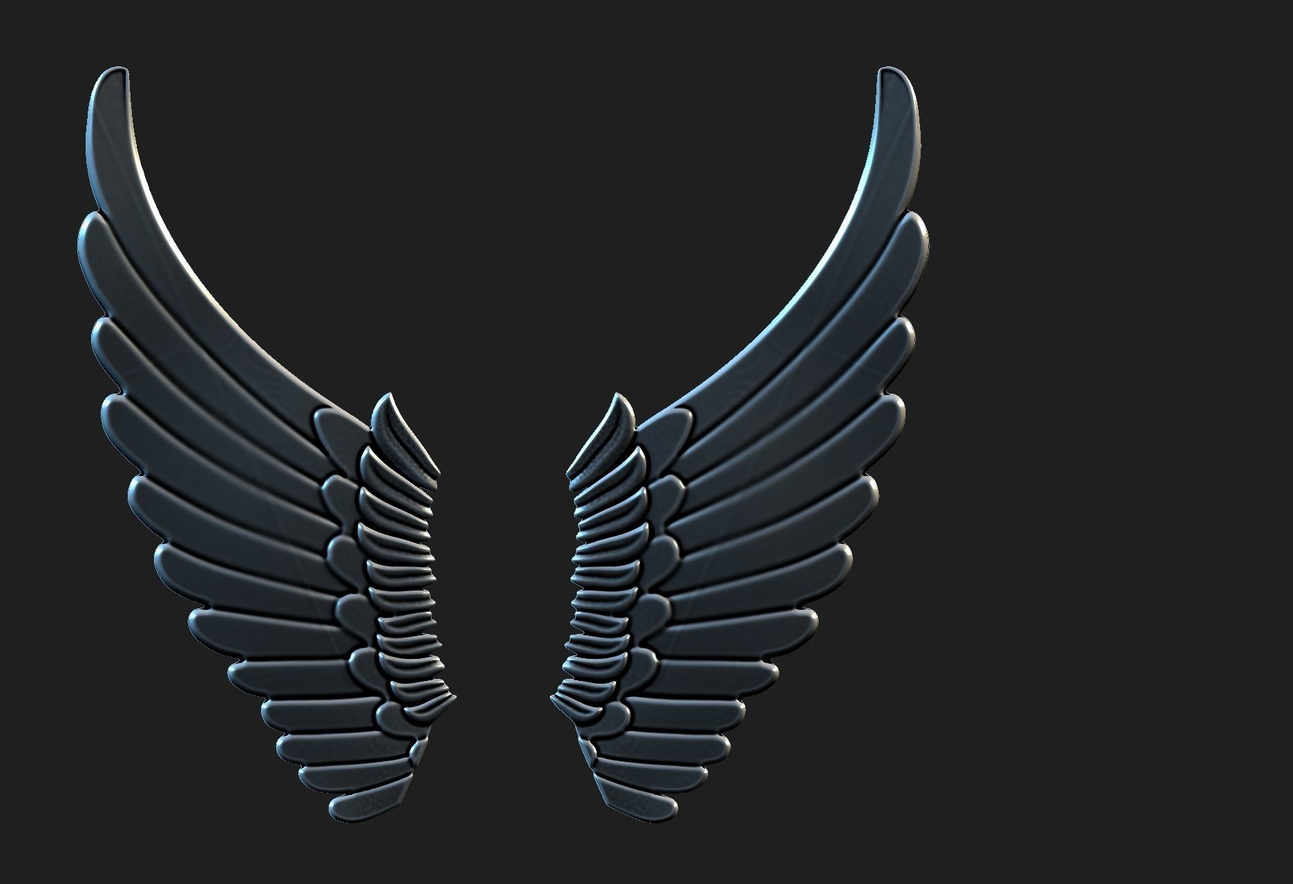 wings 02 3D model | CGTrader