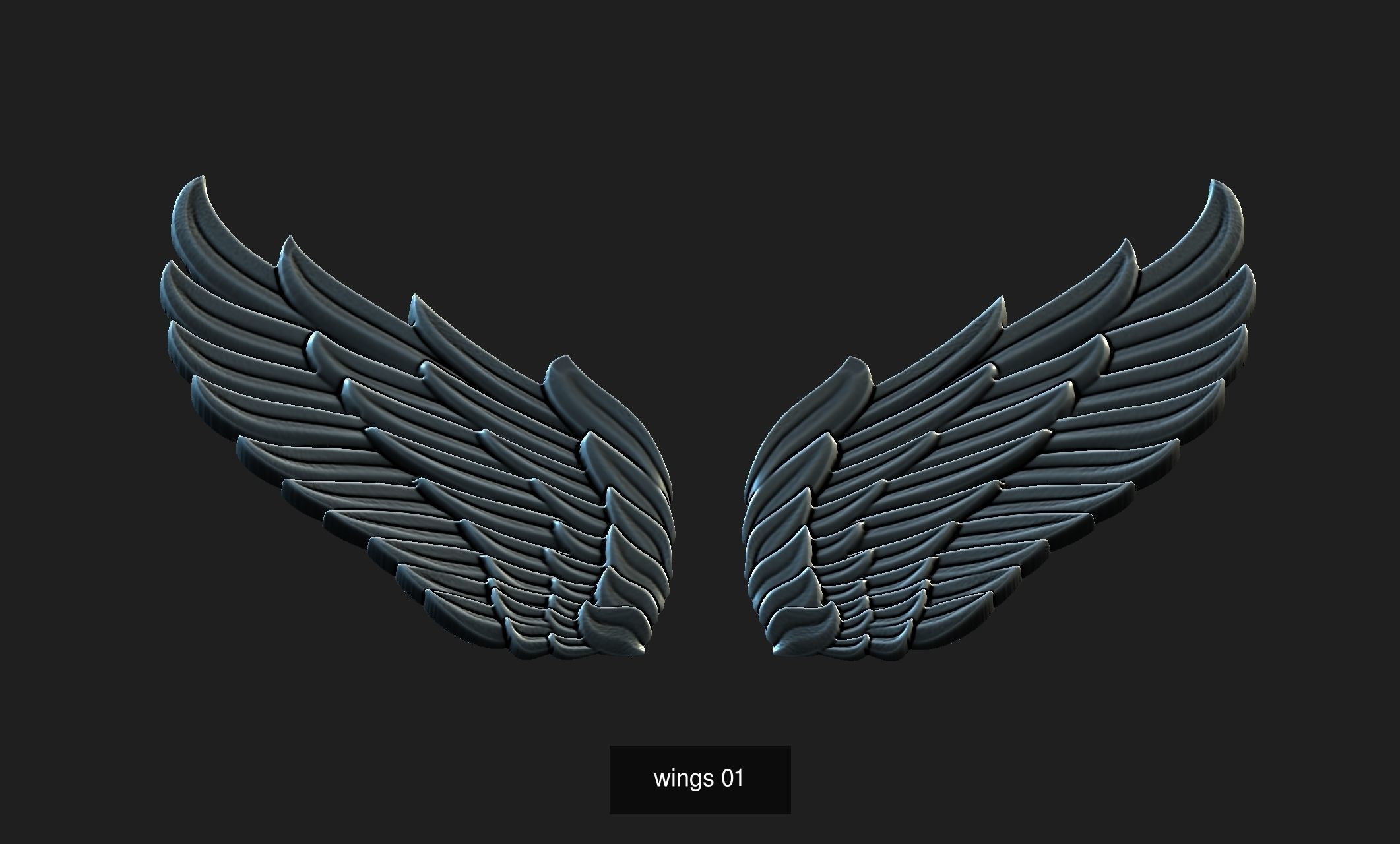 wings 3D Model Collection | CGTrader