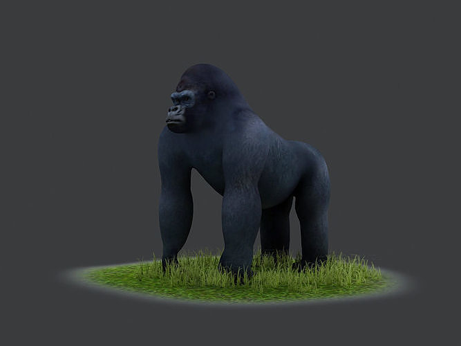 Bush chimpanzees silverback gorillas humanoids 3D model | CGTrader