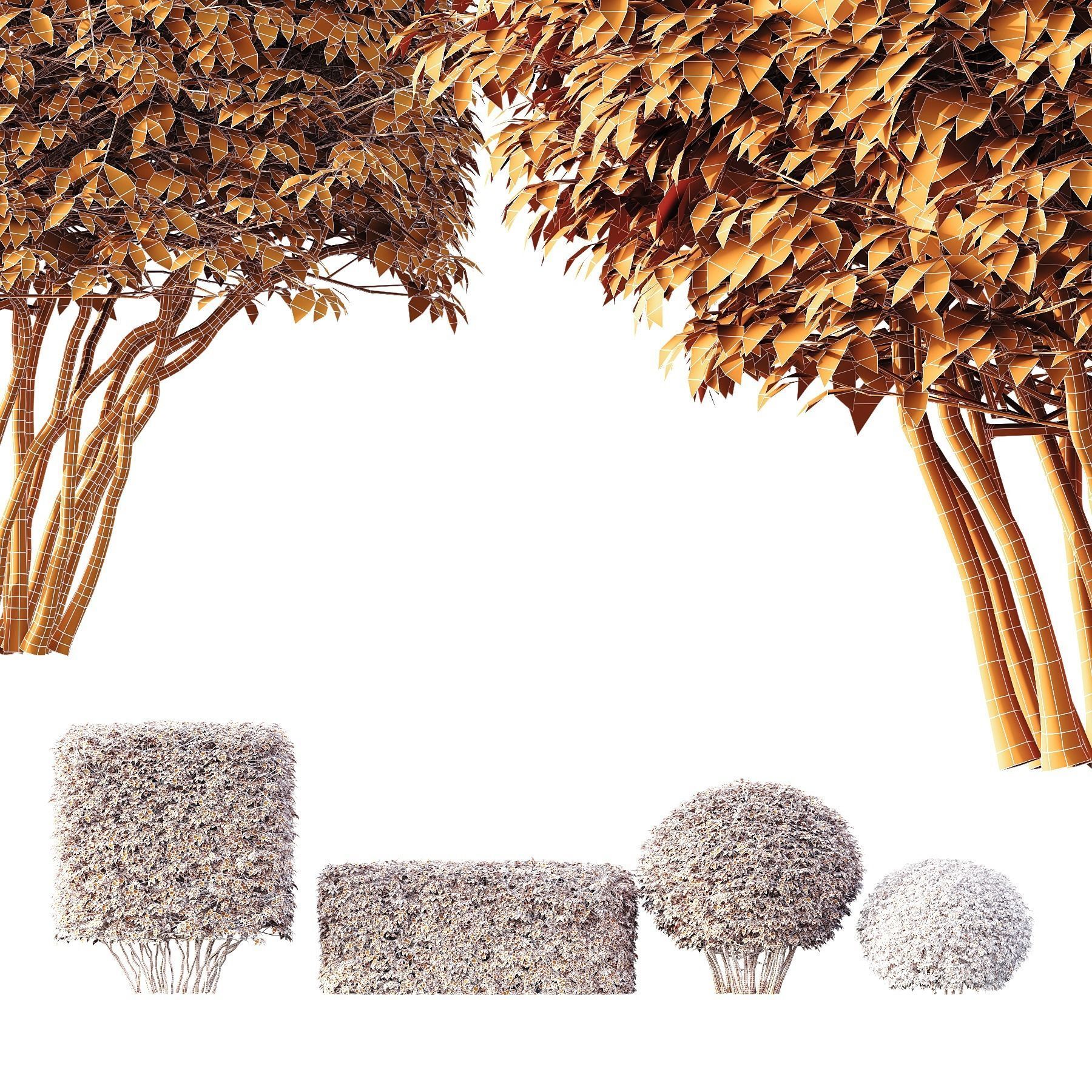 HQ Dwarf Yaupon Holly Spherical Cone Spherical Box hedge 3D model ...