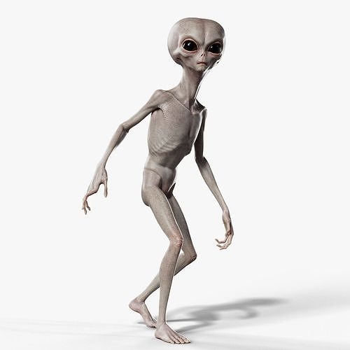 3D model Humanoid Grey Alien - Rigged VR / AR / low-poly | CGTrader