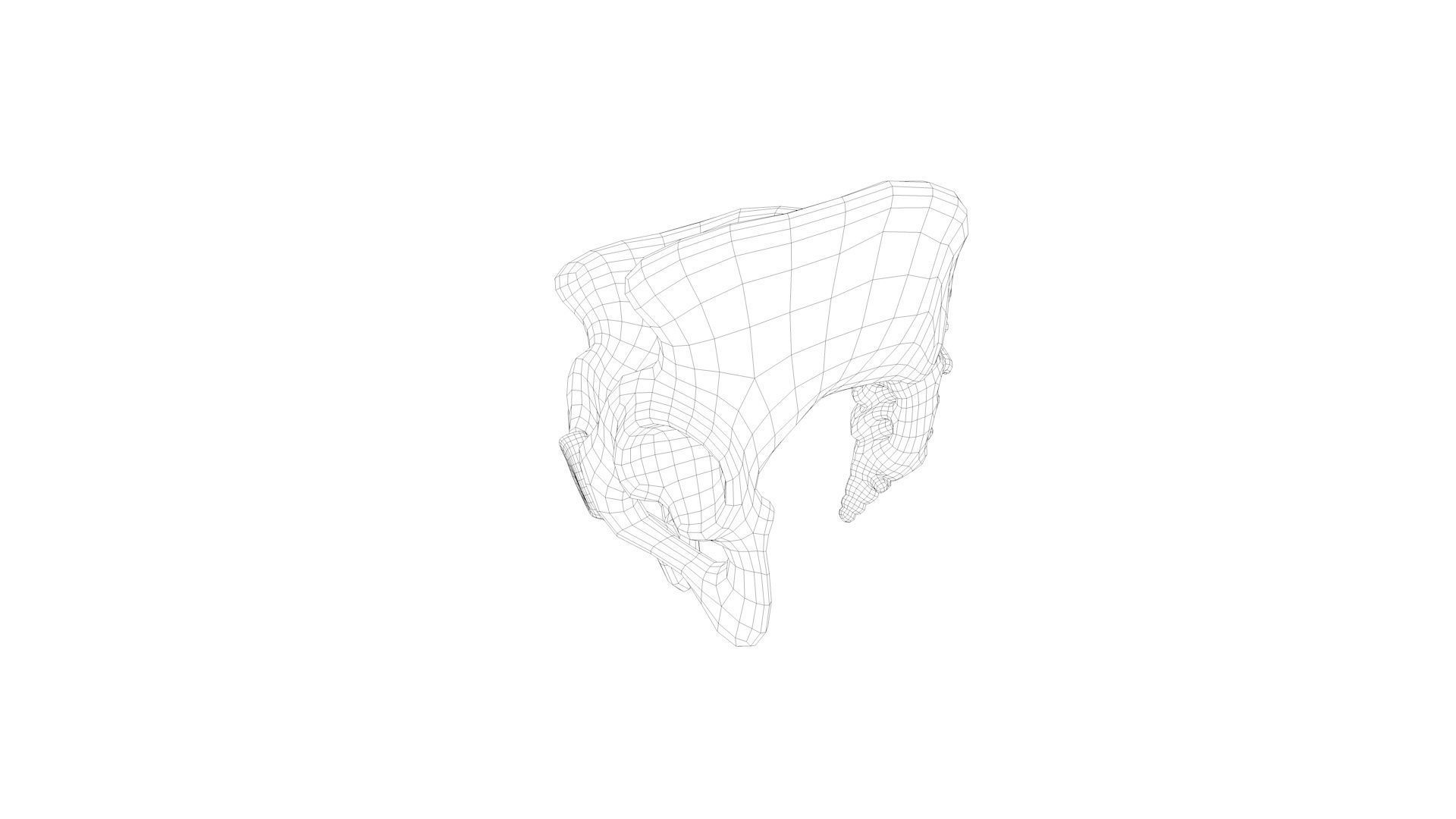 3D model Pelvis Bone VR / AR / low-poly | CGTrader