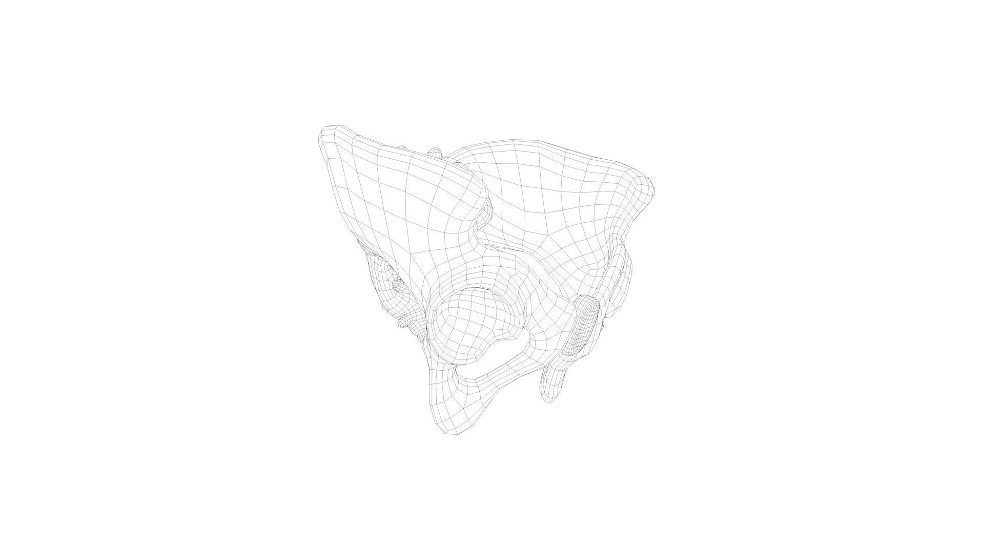 3D model Pelvis Bone VR / AR / low-poly | CGTrader