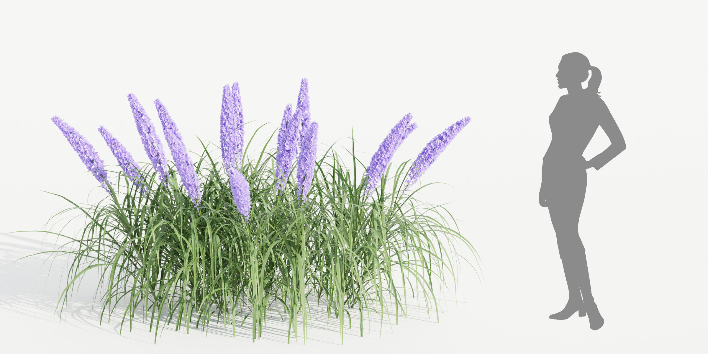 outdoor flowering bush collection vol 74-Blender 3D model | CGTrader