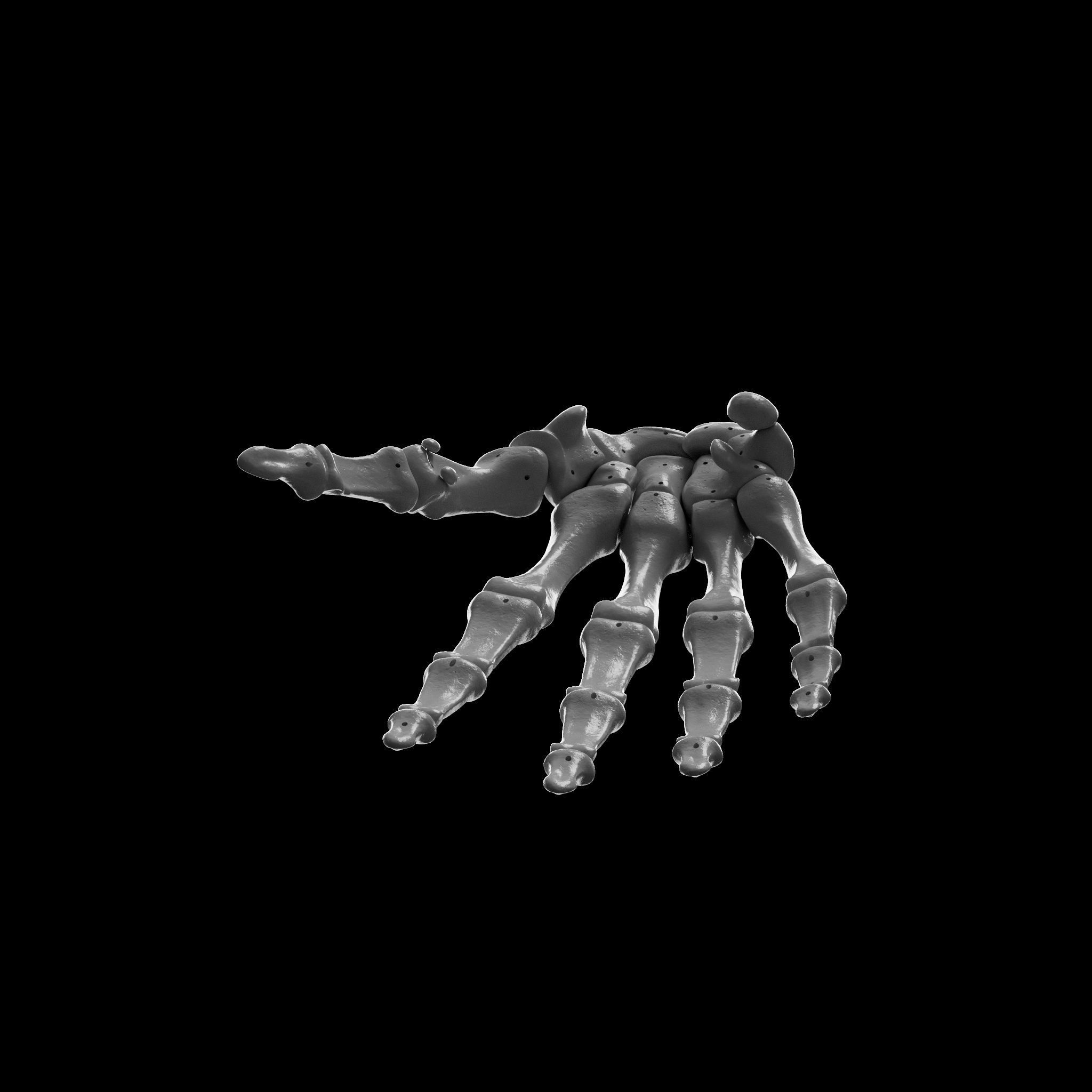 Human Rt Arm and Hand bones 3D model 3D printable | CGTrader