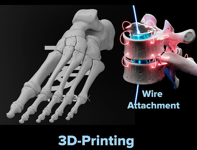 Human Lt Foot Bones 3D model 3D printable | CGTrader