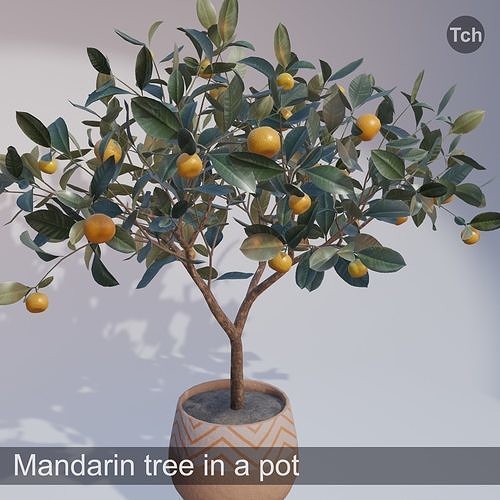 3D model Mandarin tree in a pot VR / AR / low-poly | CGTrader
