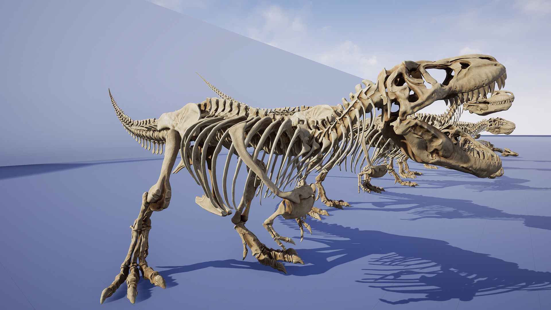 3D model Tyrannosaurus Rex Sue Skeleton -Unreal Engine and Unity ...