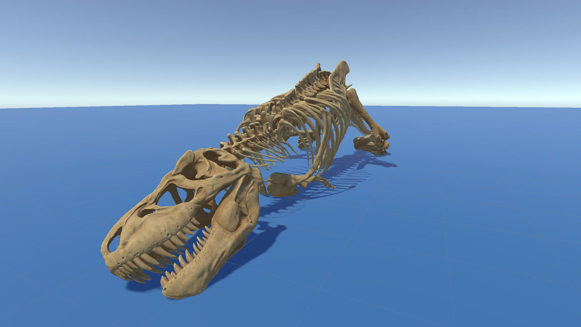 3D model Tyrannosaurus Rex Sue Skeleton -Unreal Engine and Unity ...