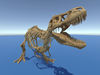 3D model Tyrannosaurus Rex Sue Skeleton -Unreal Engine and Unity ...