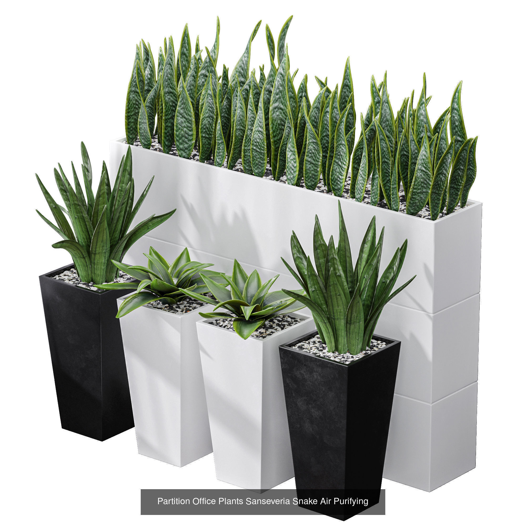 6 Different SETS of Plant Outdoor SET VOL81 3D Model Collection | CGTrader