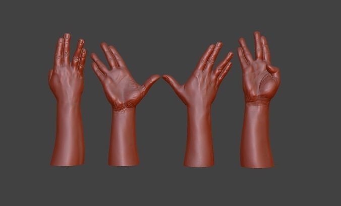 Vulcan salute sign hand 3D model 3D printable | CGTrader