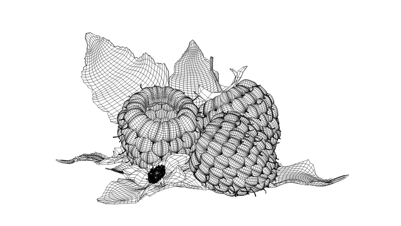 Raspberry 3D model | CGTrader