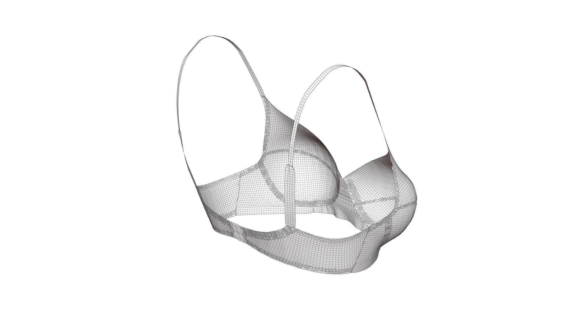 Wired Lace Bra 3D model | CGTrader