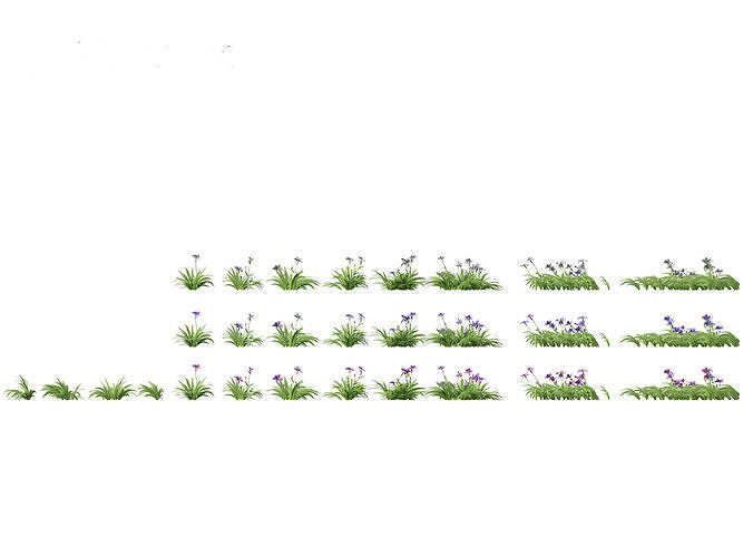 Iris tectorum - Roof iris 3D model | CGTrader