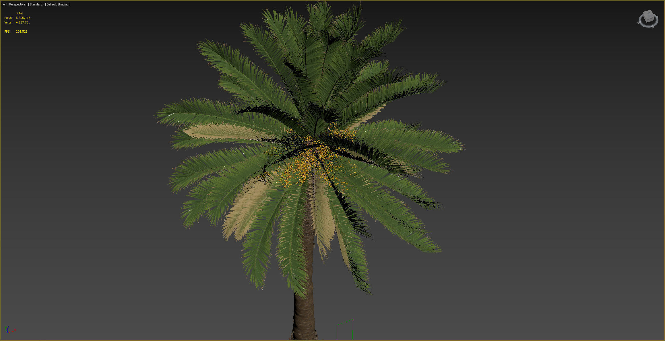 PALM TREE 1 - POHON PALEM Phoenix Canariensis VRAY CORONA 3DMAX 3D ...