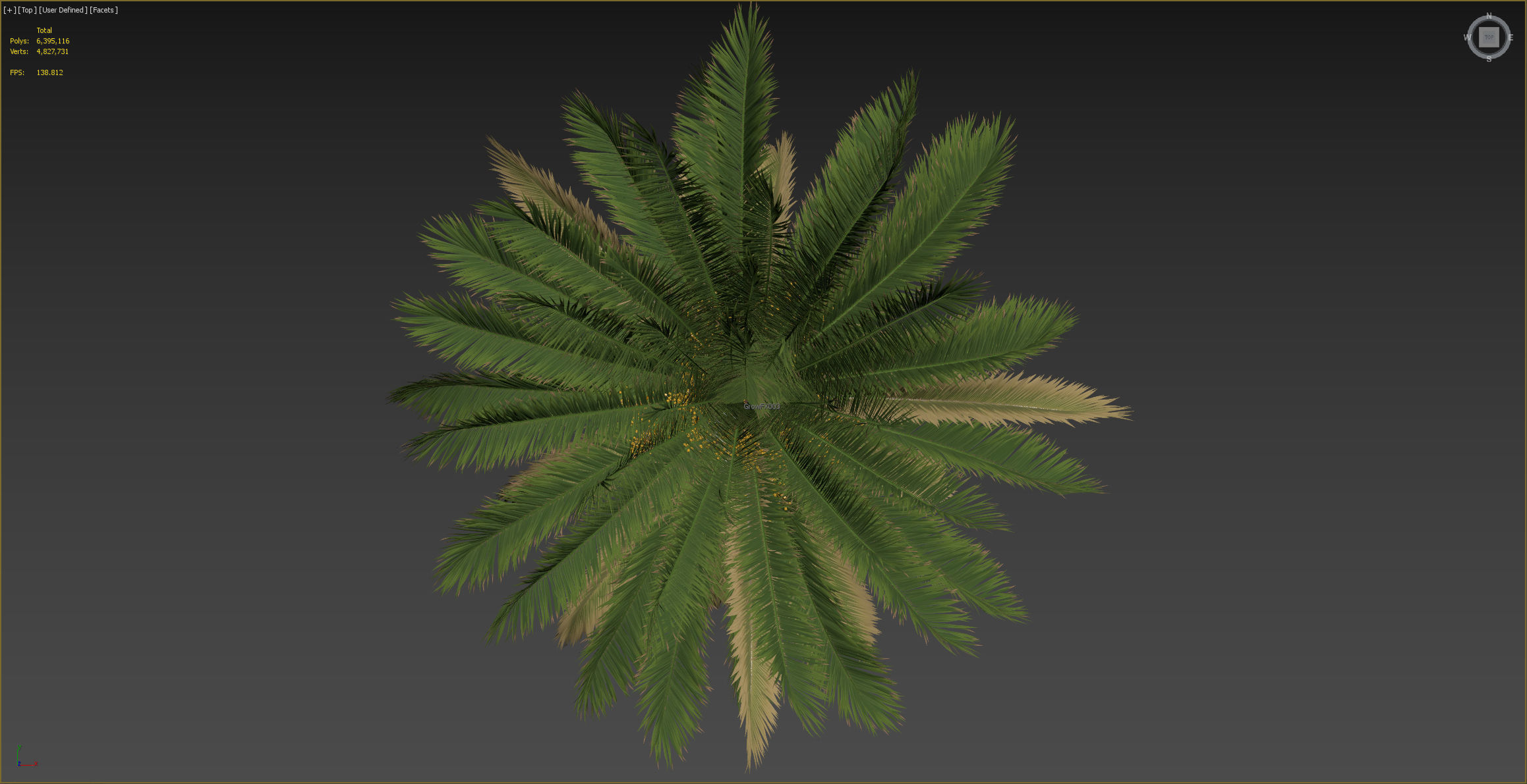 PALM TREE 3 - POHON PALEM Phoenix Canariensis VRAY CORONA 3DMAX 3D ...
