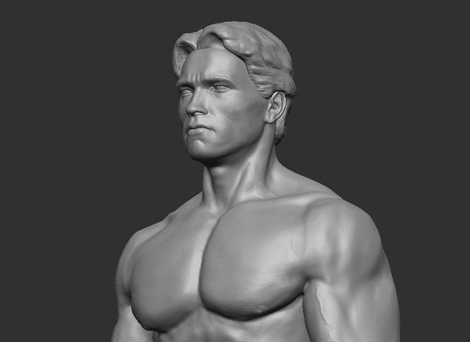 Arnold Schwarzenegger 3D model 3D printable | CGTrader
