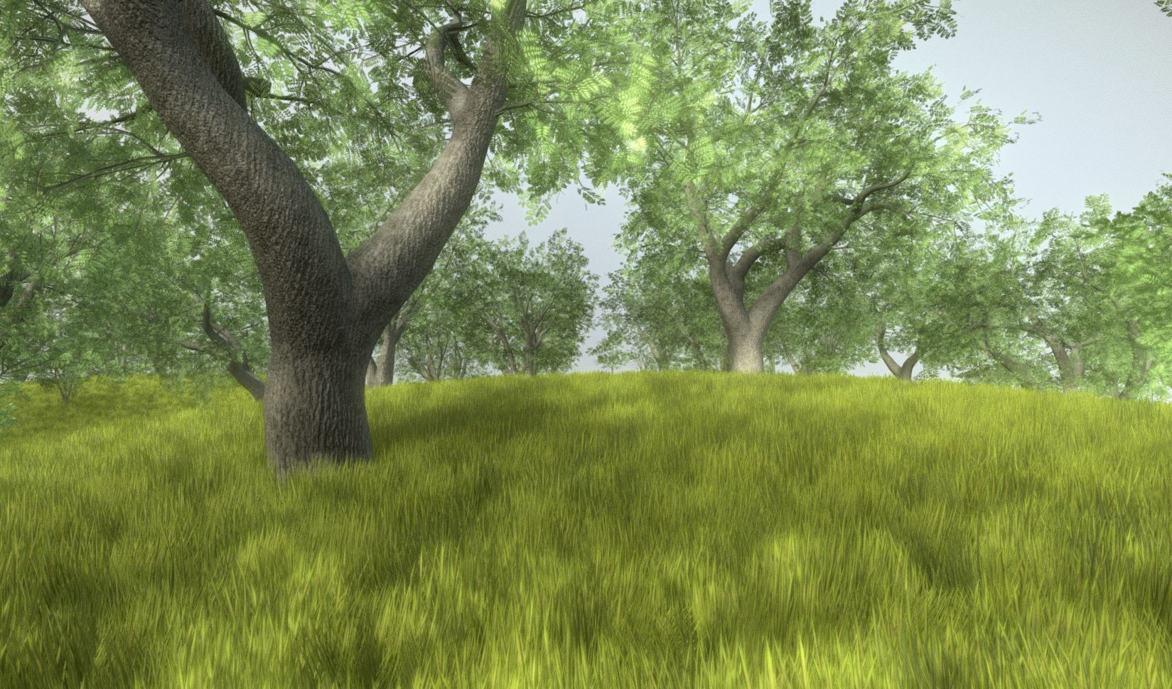 3D model Honey Tree Package VR / AR / low-poly | CGTrader