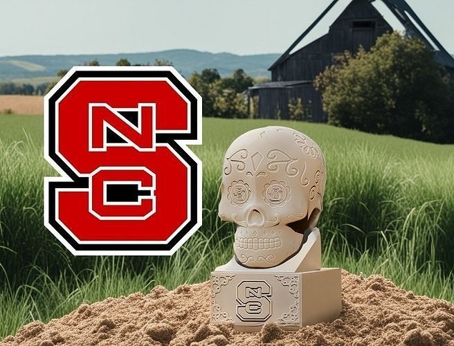 NCCA SKULL NC STATE WOLFPACK FOOTBALL statue decor - 3D PRINT 3D model ...