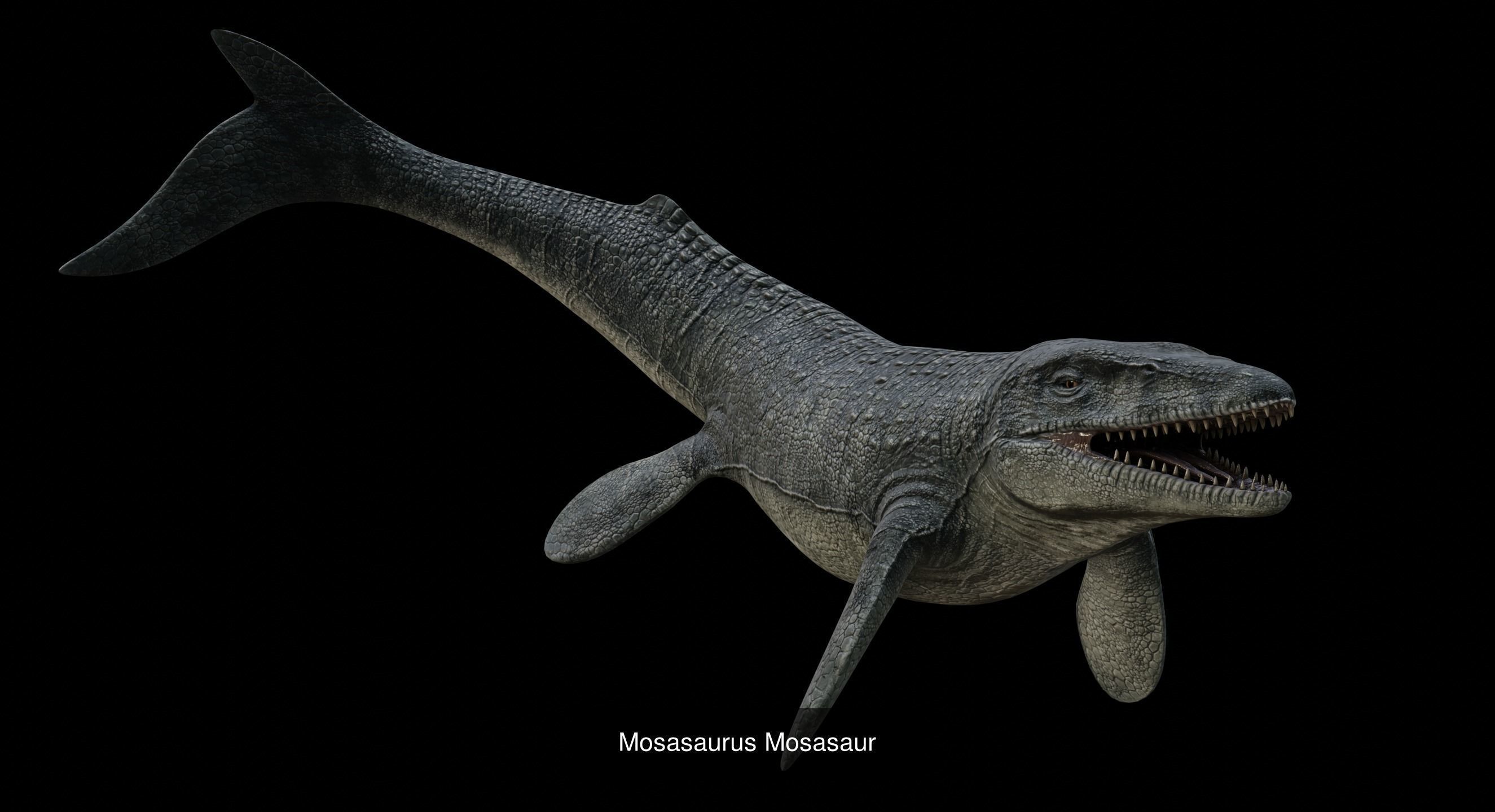 3D Model Collection Prehistoric Animal Dinosaur VR / AR / low-poly ...