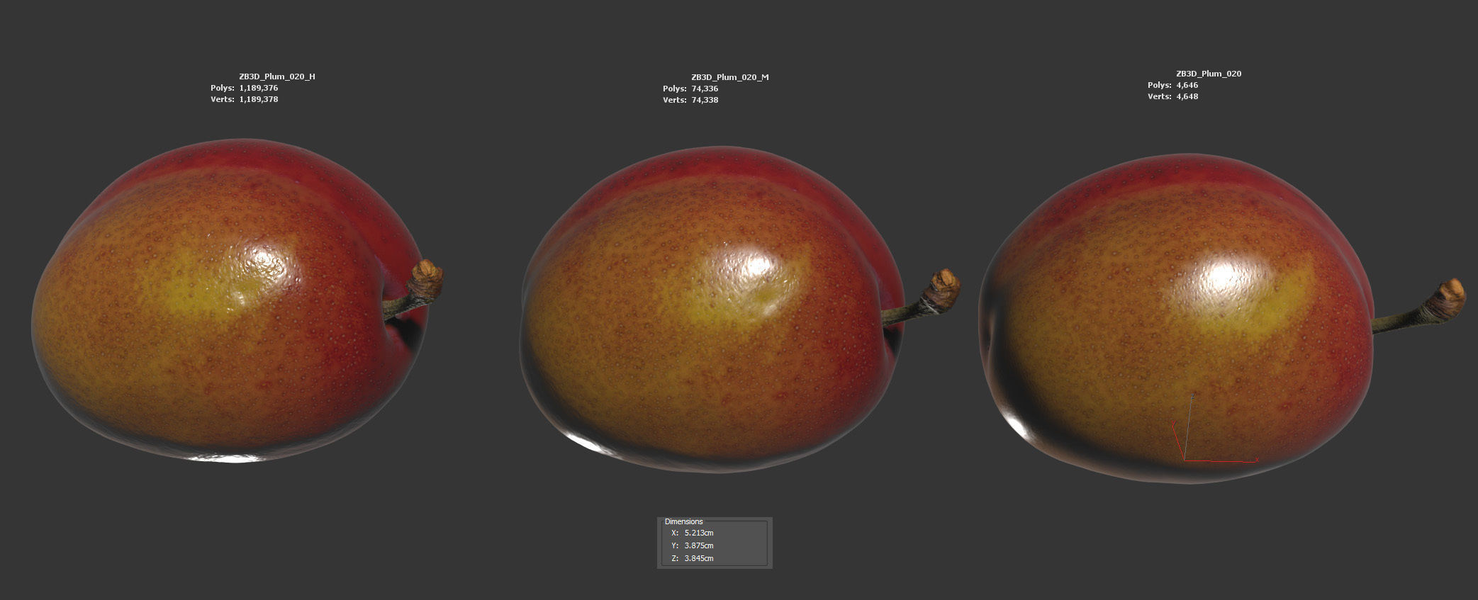 Plum 020 3D model | CGTrader