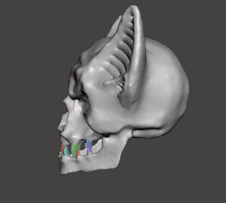 Demon bat skull 3D model 3D printable | CGTrader