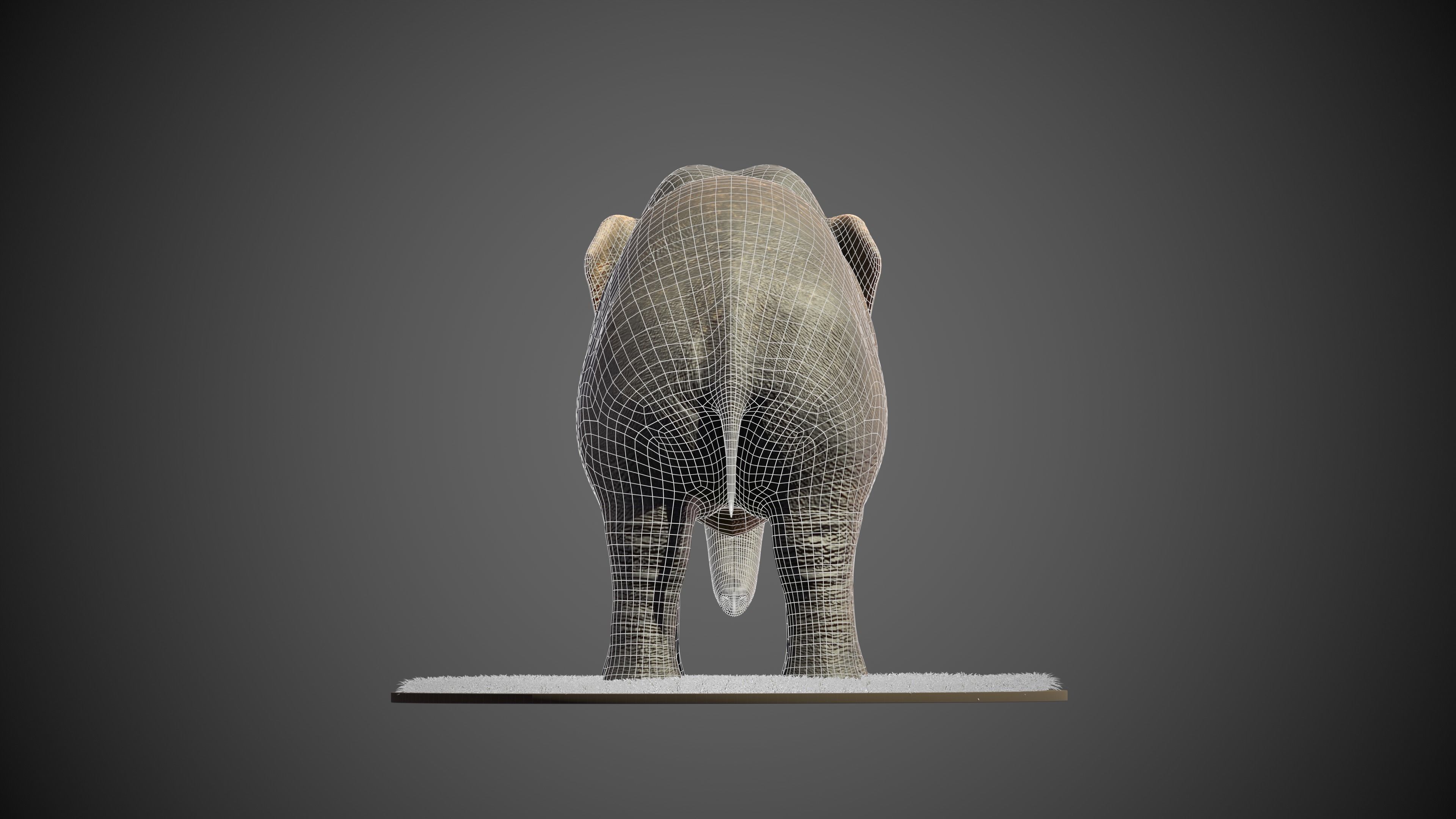 3D model Elephant Low-poly 3D model VR / AR / low-poly | CGTrader