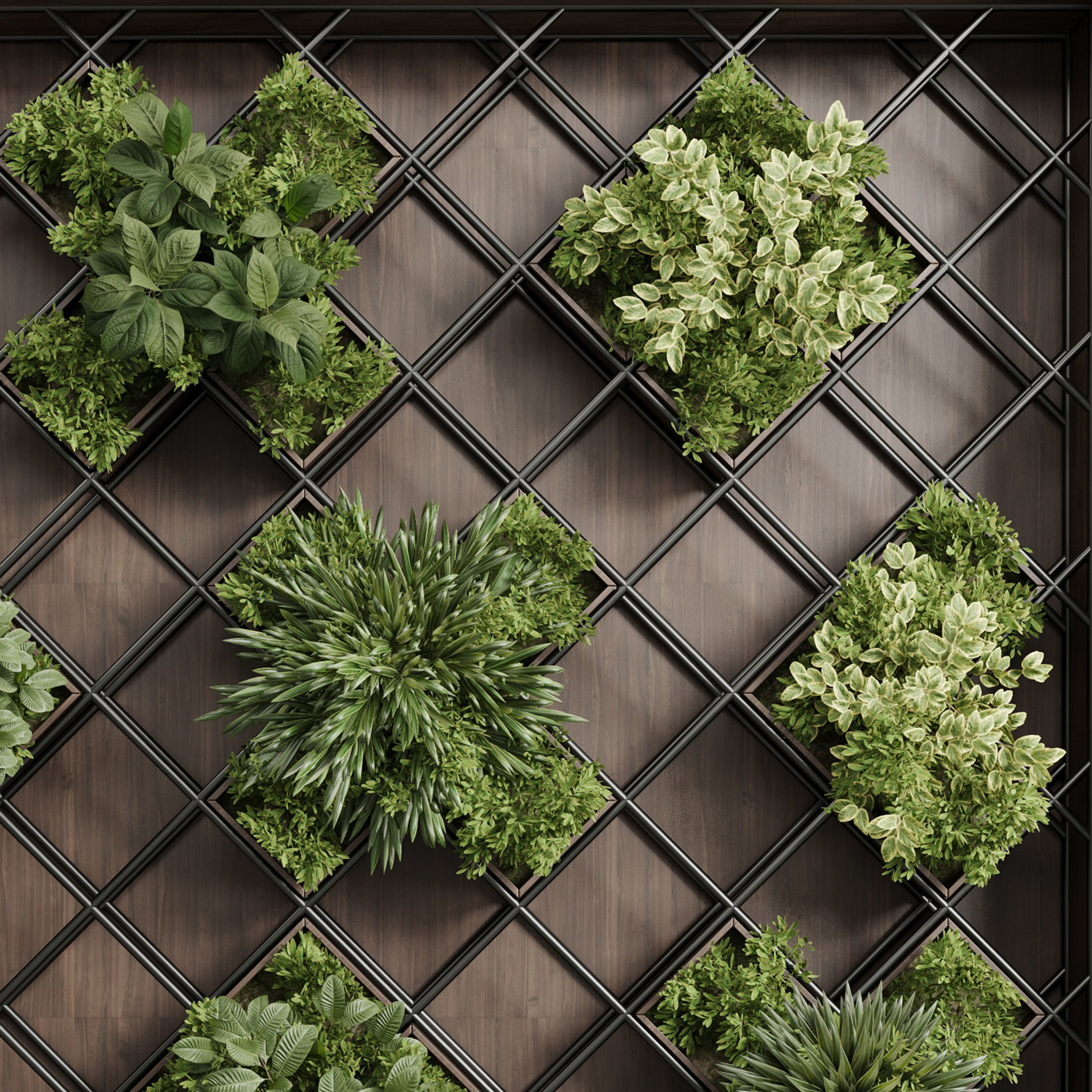 3D model plants set partition in wooden frame - Vertical graden VR / AR ...