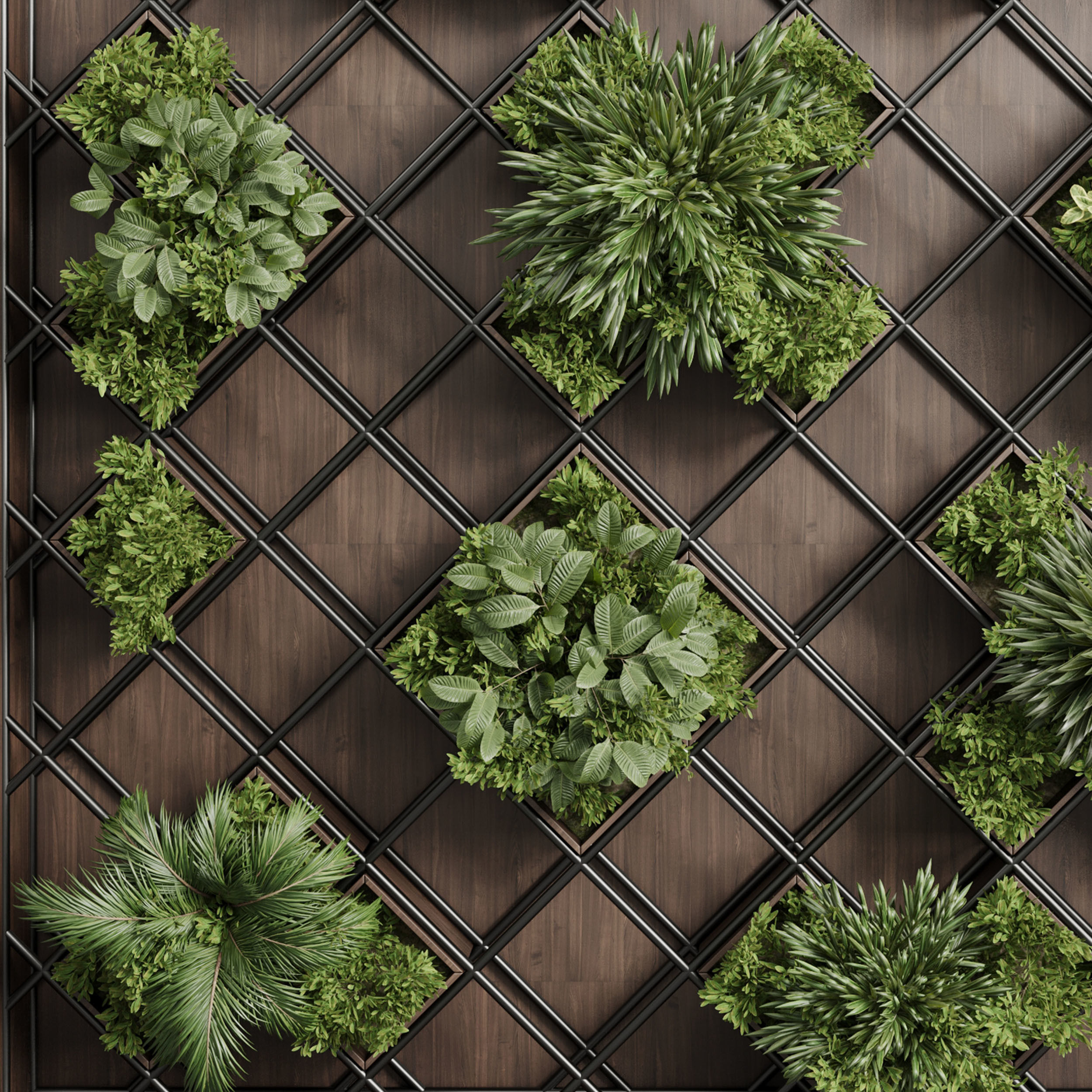 3D model plants set partition in wooden frame - Vertical graden VR / AR ...